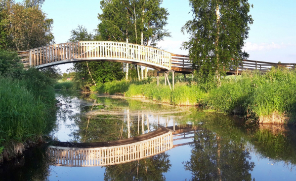 Alavuden kaupunki ja projektipäällikkö Timo Rintala huomioitu ...